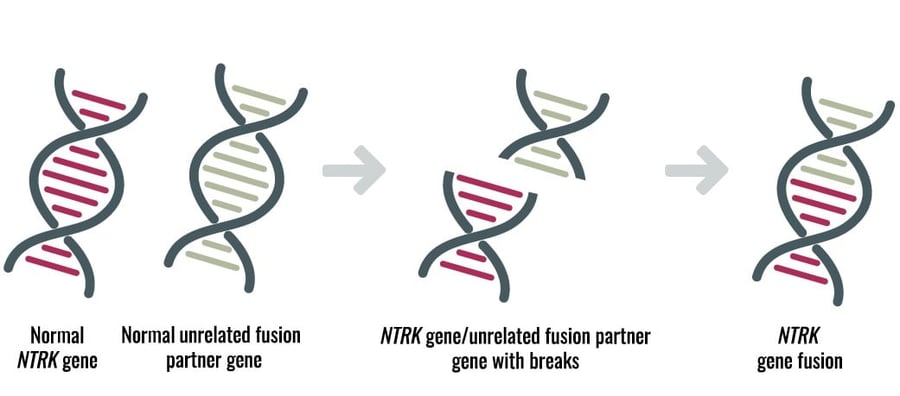 Presenting NTRK Reference Materials for Global Assay Standardization at ...